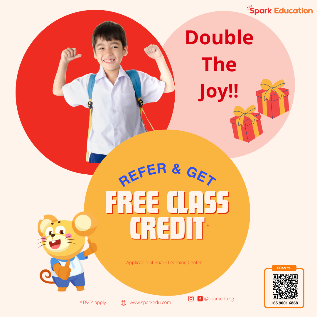 Singapore Math and Chinese Learning Online | VISPARK Education